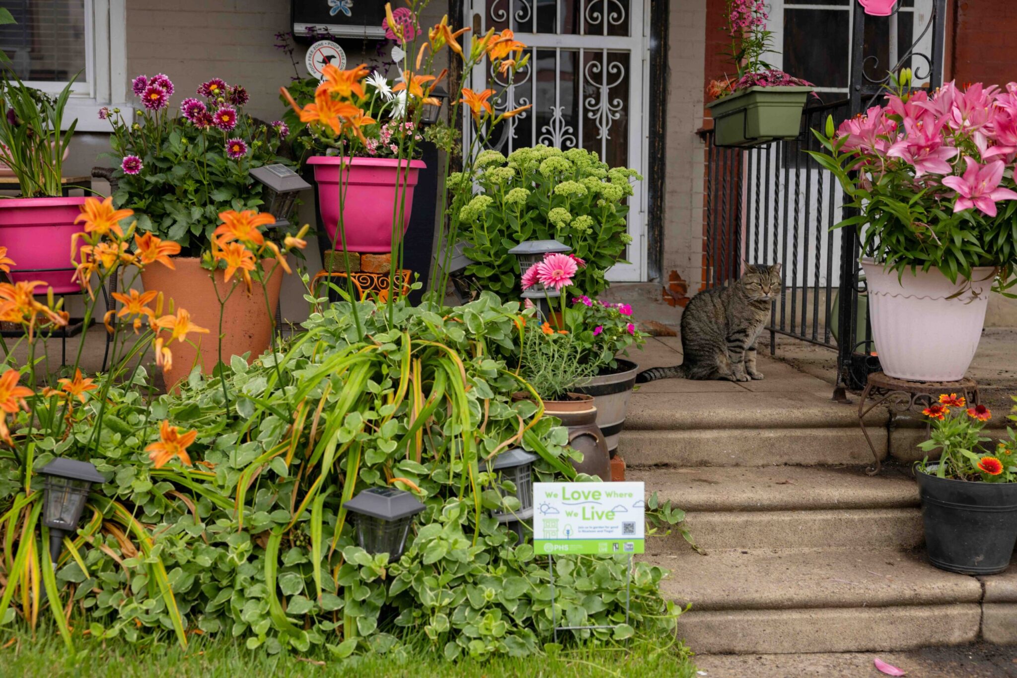 In North Philly, two neighborhoods bloomed with connection ...
